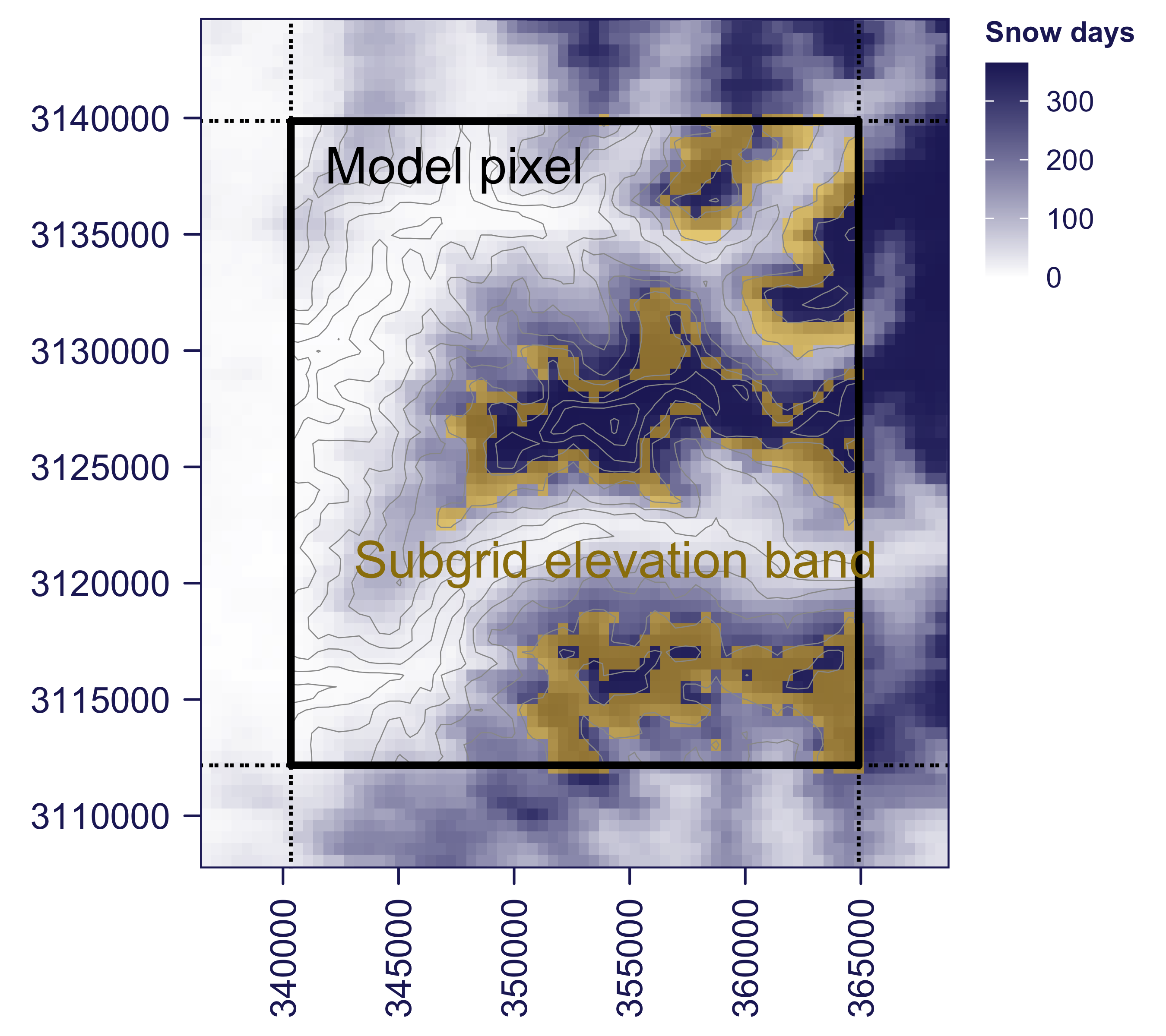 2.1 Explore the model | R practical manual